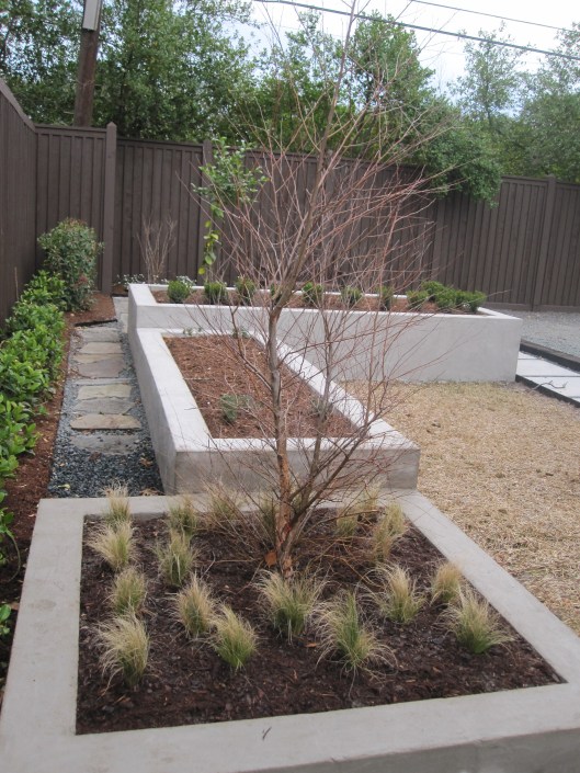 An Inviting Space with a Modern Kitchen Garden | Ravenscourt Gardens