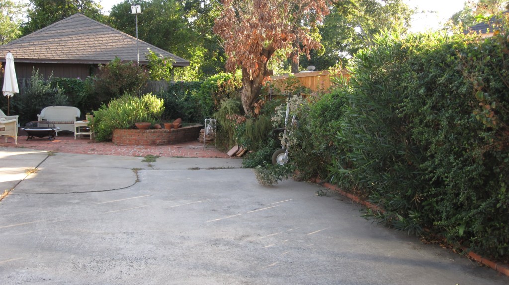 Brutal sun and other challenges! Using gravel as ground cover ...