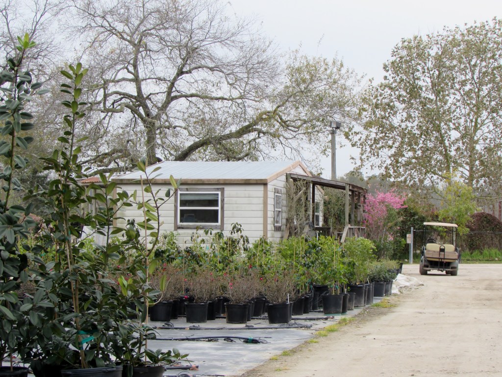 A Reconnaissance Trip to Treesearch Farms. | Ravenscourt Gardens