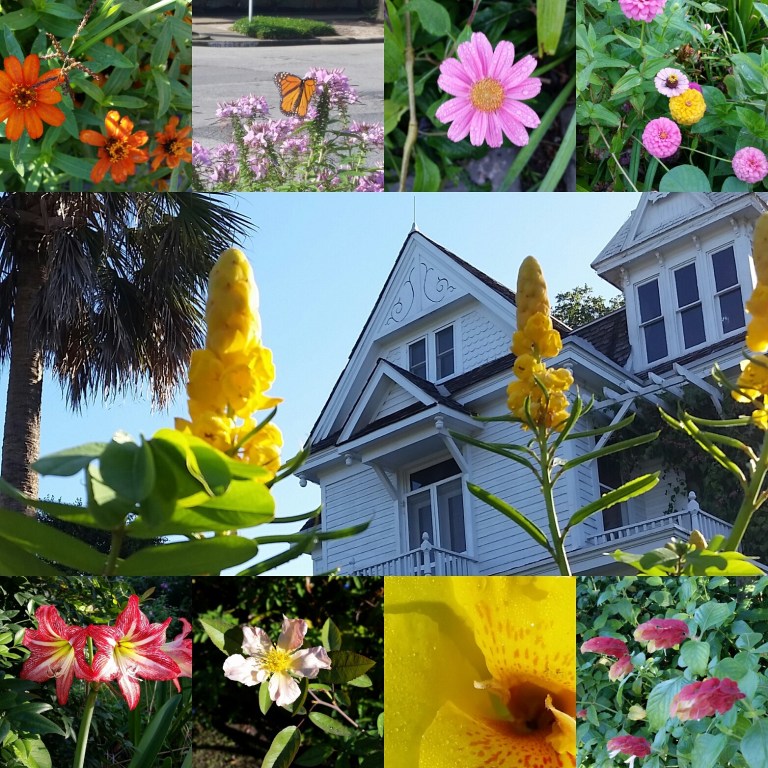 Autumn in Houston, Our Second Spring! | Ravenscourt Gardens