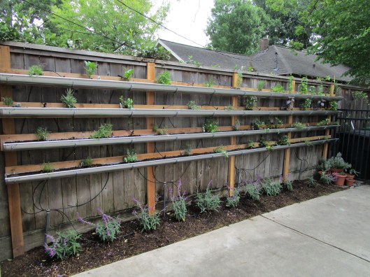 How to Build a Vertical Garden with Rain Gutters | Ravenscourt Gardens