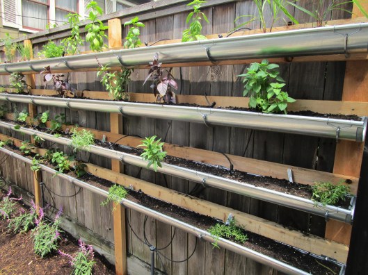 How to Build a Vertical Garden with Rain Gutters | Ravenscourt Gardens