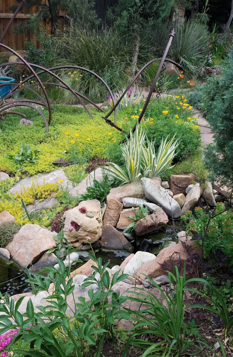An Amazing Xeric and Native Plant Garden in Colorado | Ravenscourt Gardens